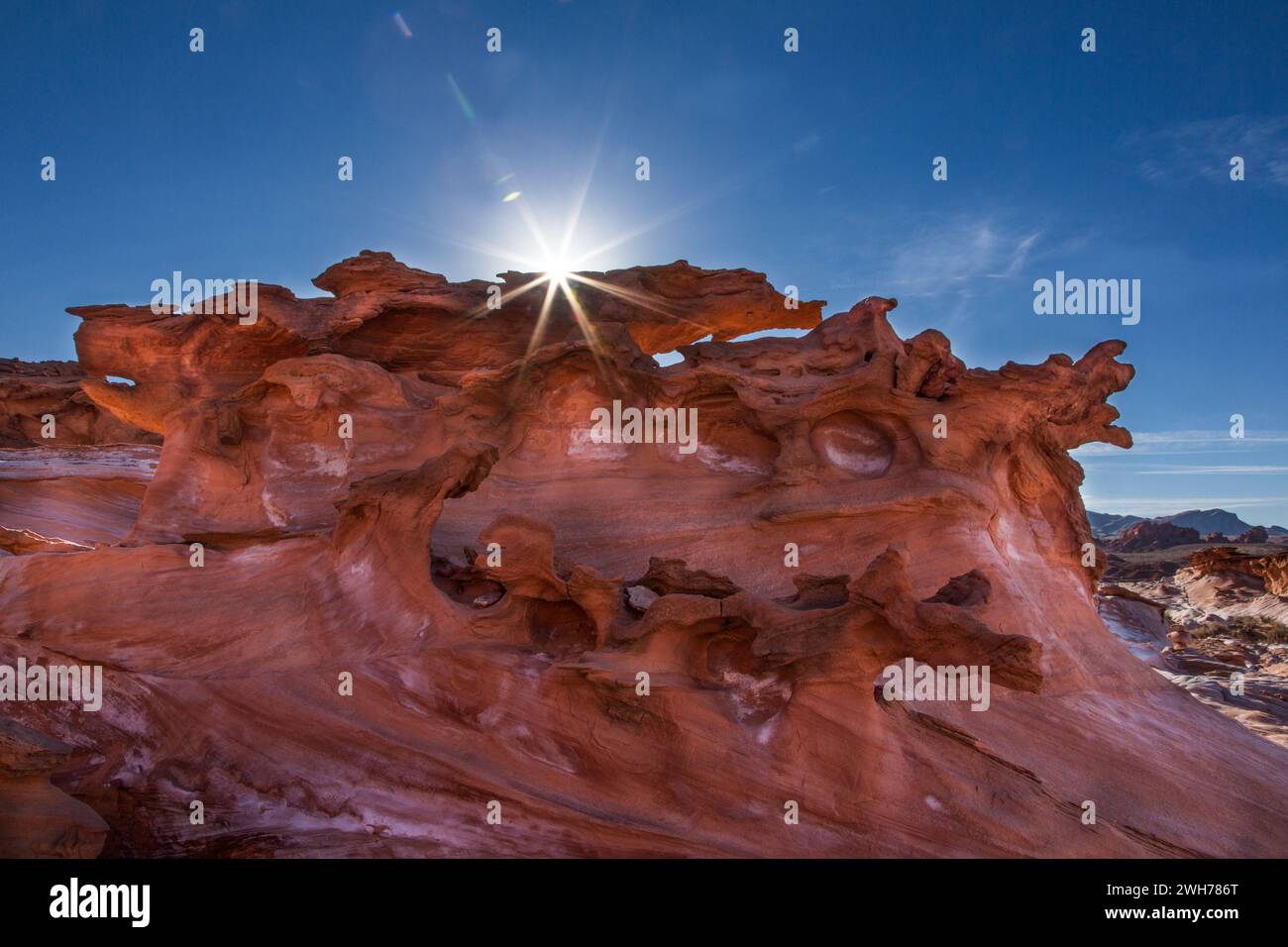 Fragile eroded Aztec sandstone formations in Little Finland, Gold Butte ...