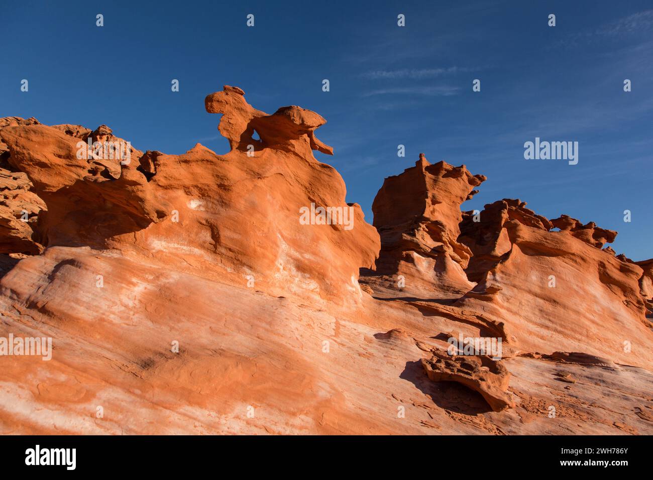 Fragile eroded Aztec sandstone formations in Little Finland, Gold Butte ...