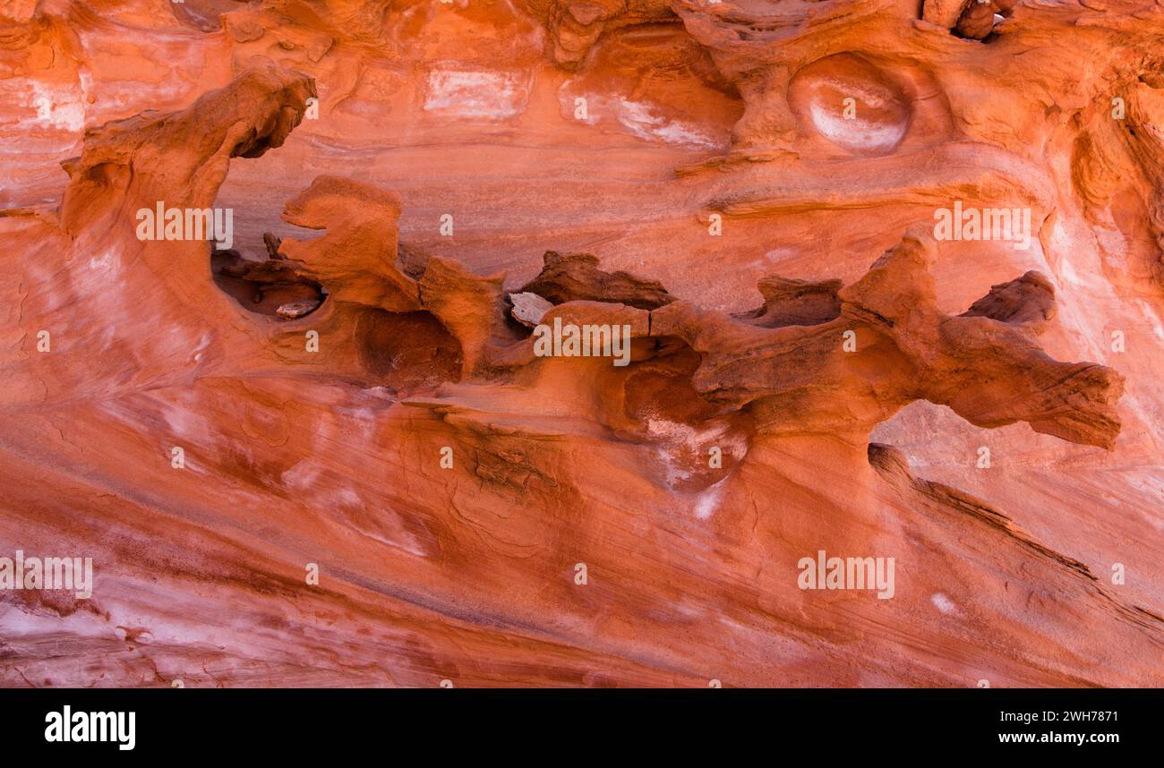 Colorful eroded Aztec sandstone formations in Little Finland, Gold ...