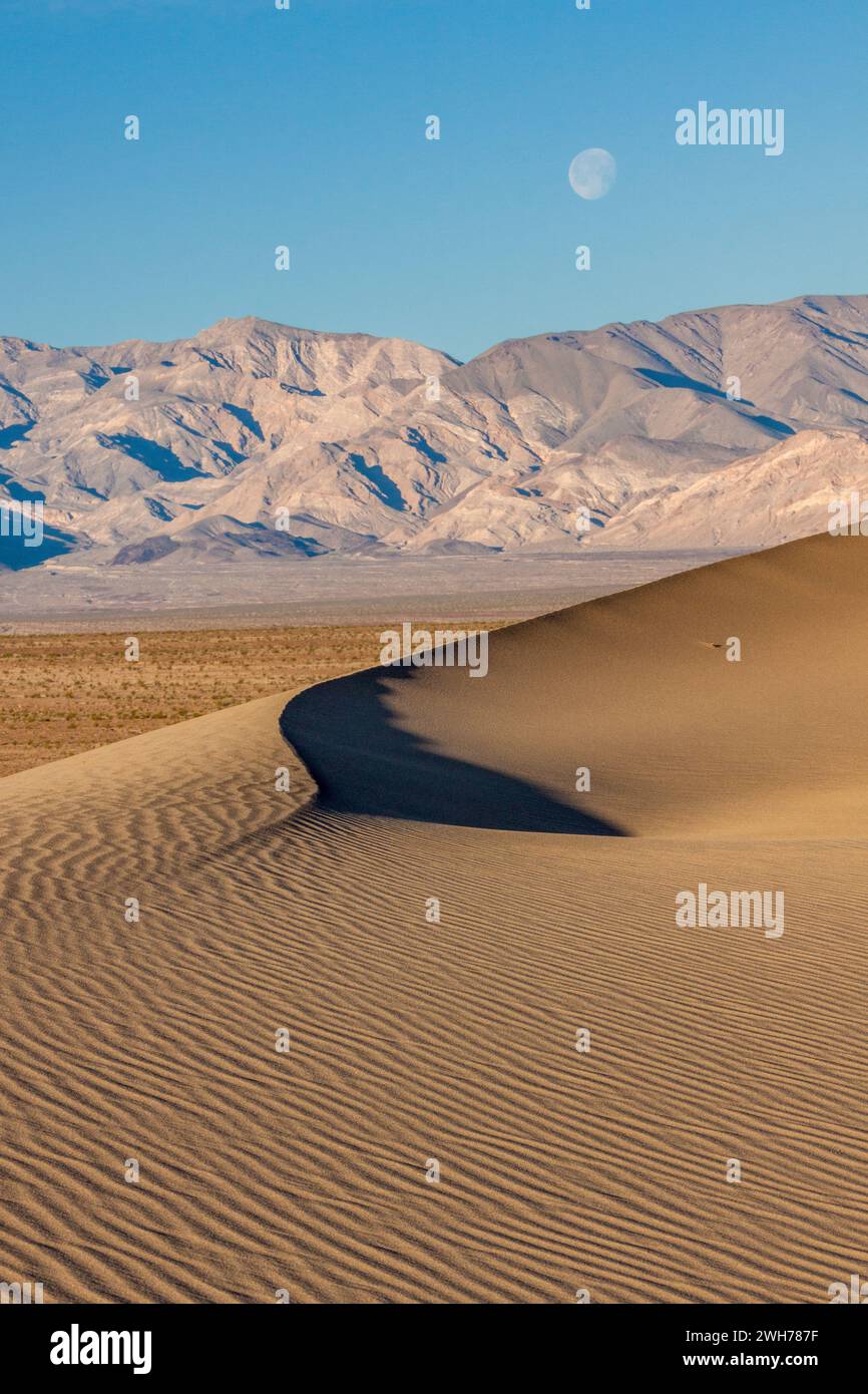 Setting moon over the Mesquite Flat sand dunes & Panamint Mountains in ...