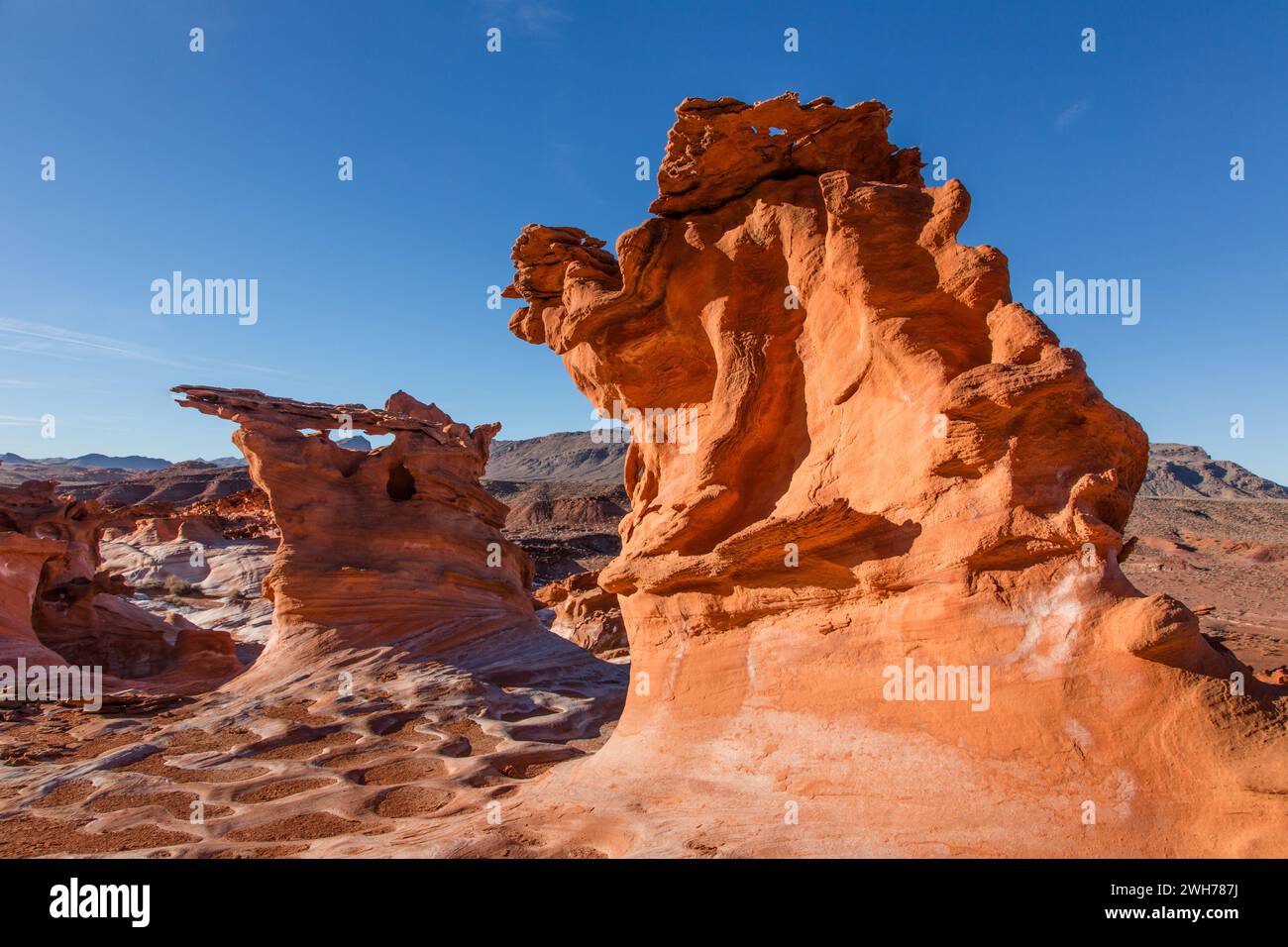 Fragile eroded Aztec sandstone formations in Little Finland, Gold Butte ...
