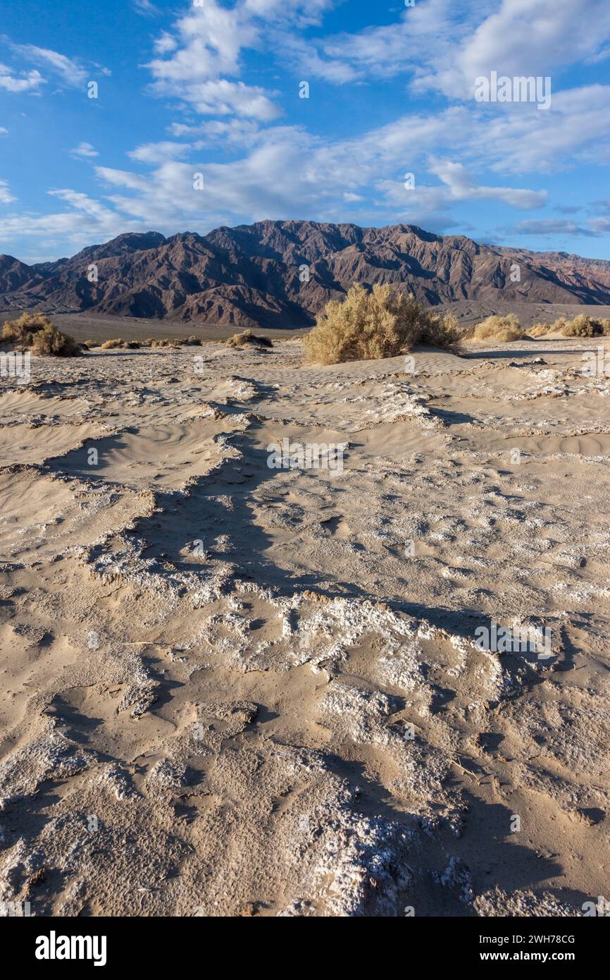 Mineral deposits on the sandy desert floor in Death Valley National ...