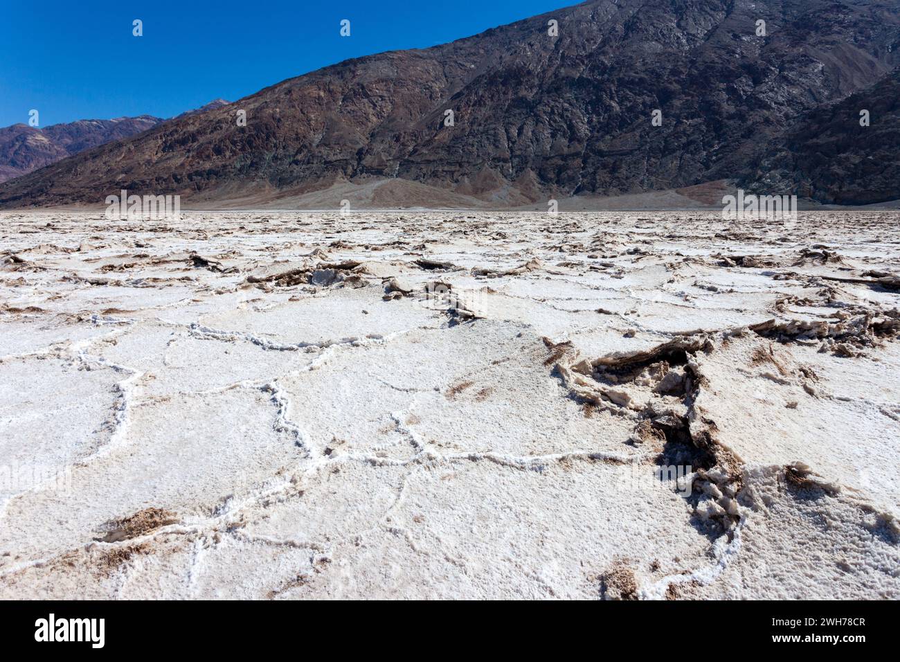 Salt polygons in Badwater Basin in the Mojave Desert in Death Valley ...
