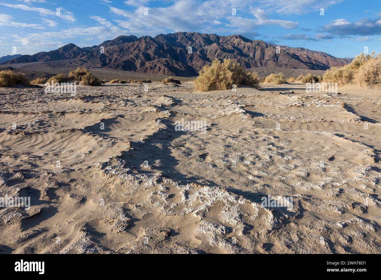 Mineral deposits on the sandy desert floor in Death Valley National ...