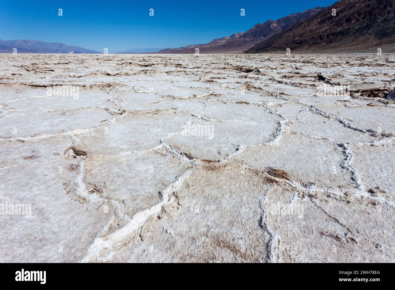 Salt polygons in Badwater Basin in the Mojave Desert in Death Valley ...