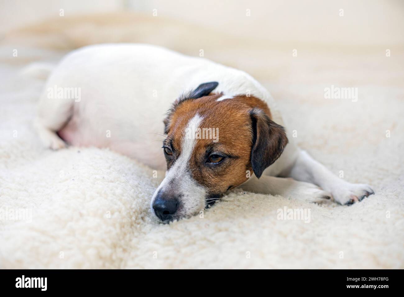 Nurturing instincts hi-res stock photography and images - Alamy