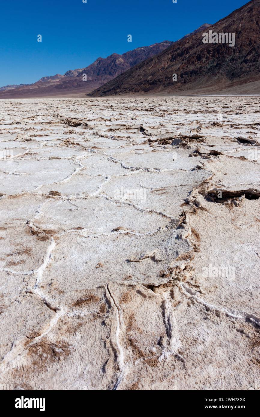 Salt polygons in Badwater Basin in the Mojave Desert in Death Valley ...