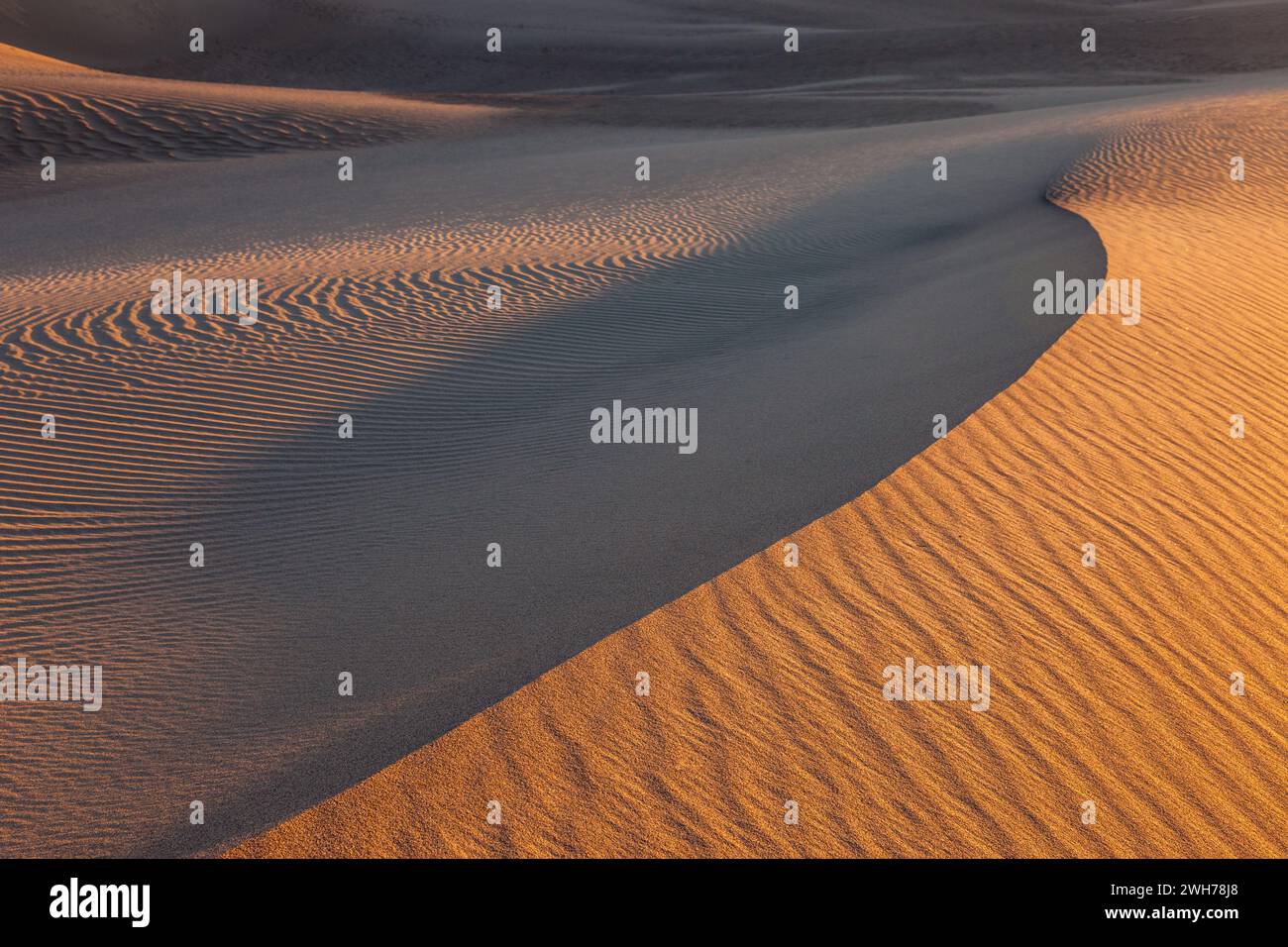 Curving crest of a dune in the Mesquite Flat Sand Dunes in the Mojave ...