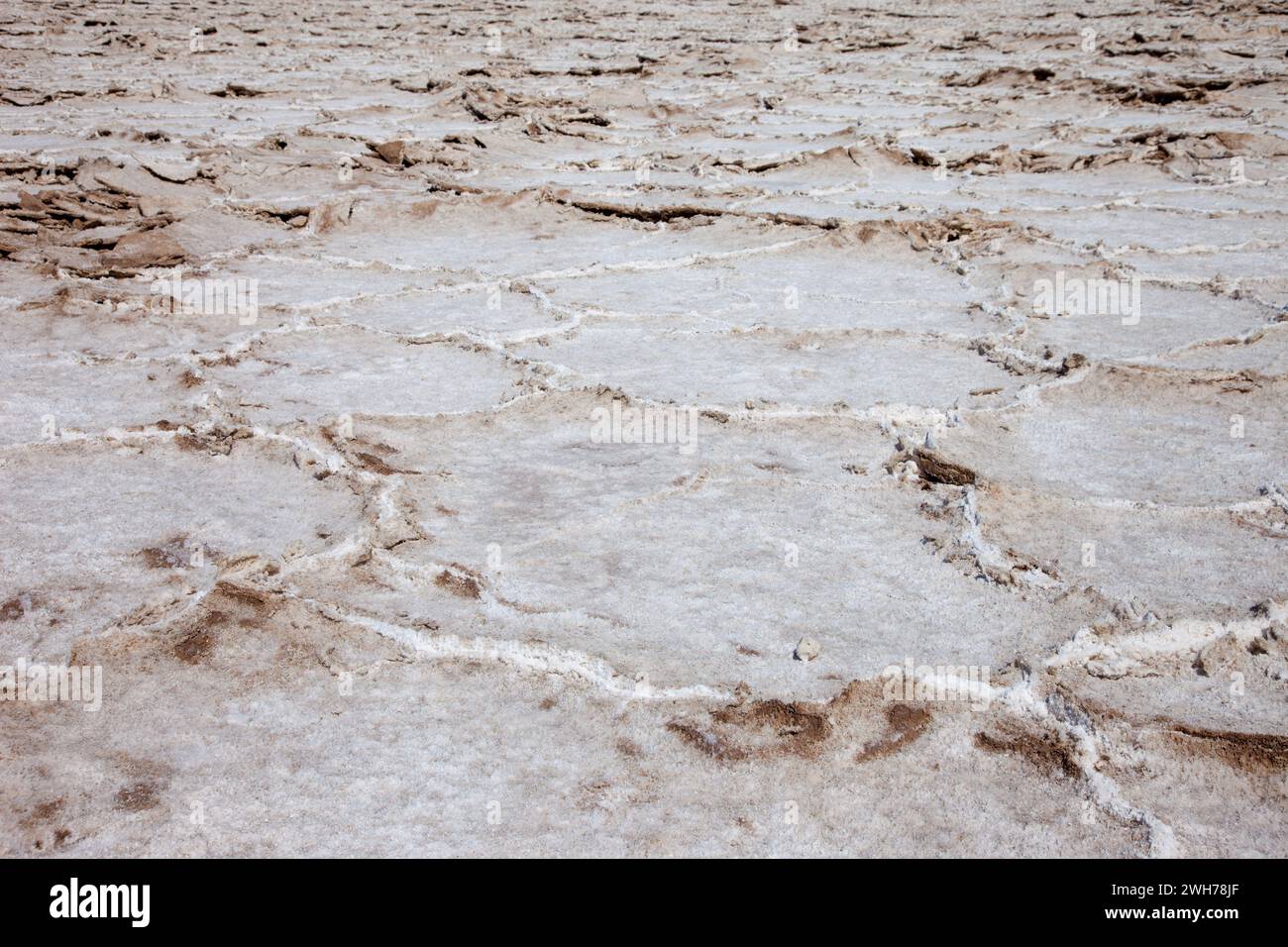 Salt polygons in Badwater Basin in the Mojave Desert in Death Valley ...