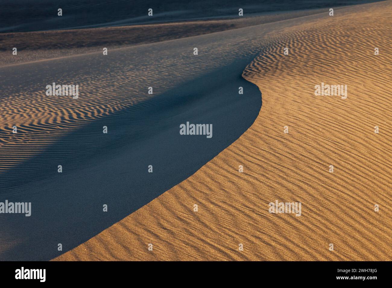 Crest of the dune hi-res stock photography and images - Alamy