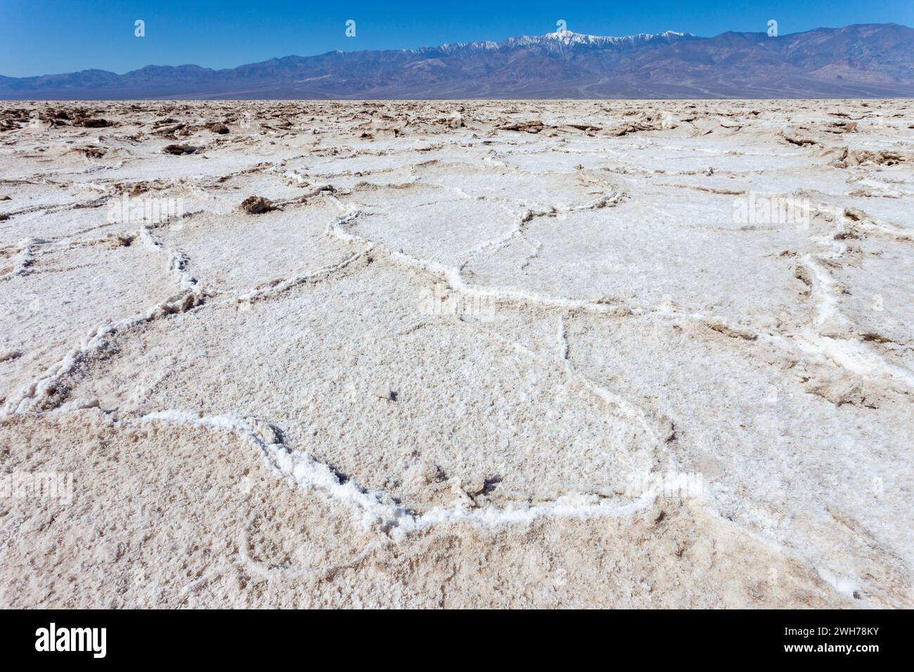 Salt polygons in Badwater Basin in the Mojave Desert in Death Valley ...