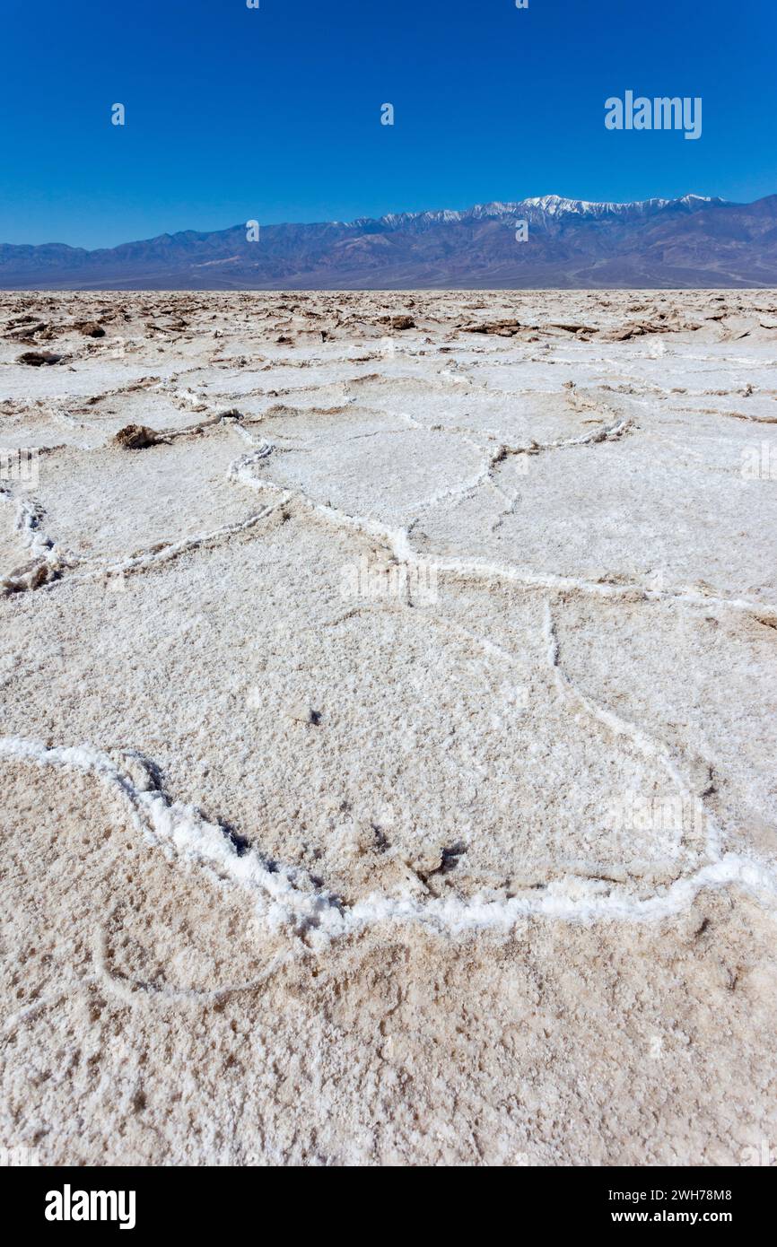 Salt polygons in Badwater Basin in the Mojave Desert in Death Valley ...