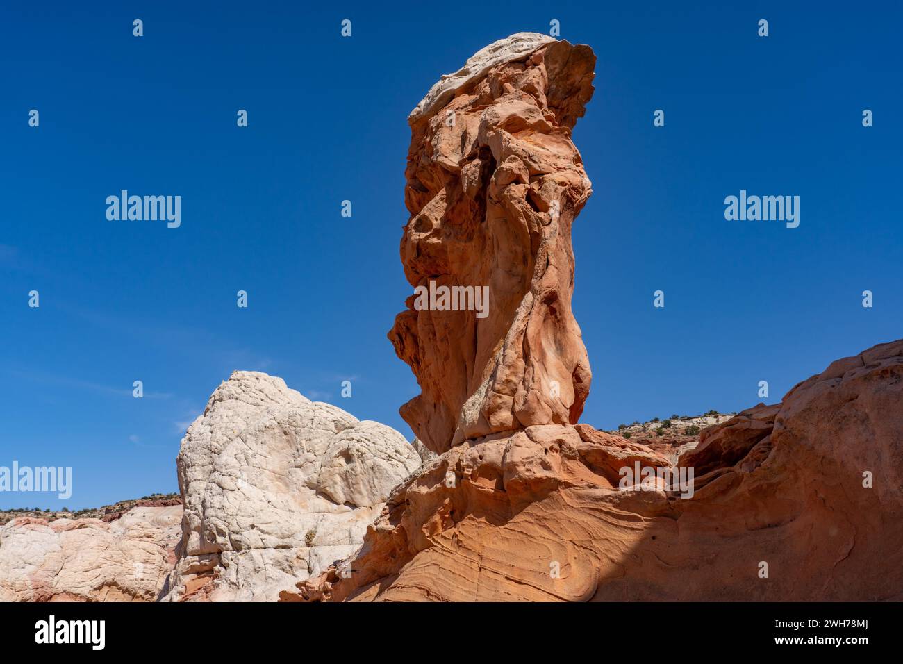 A sandstone hoodoo rock formation in the White Pocket Recreation Area ...