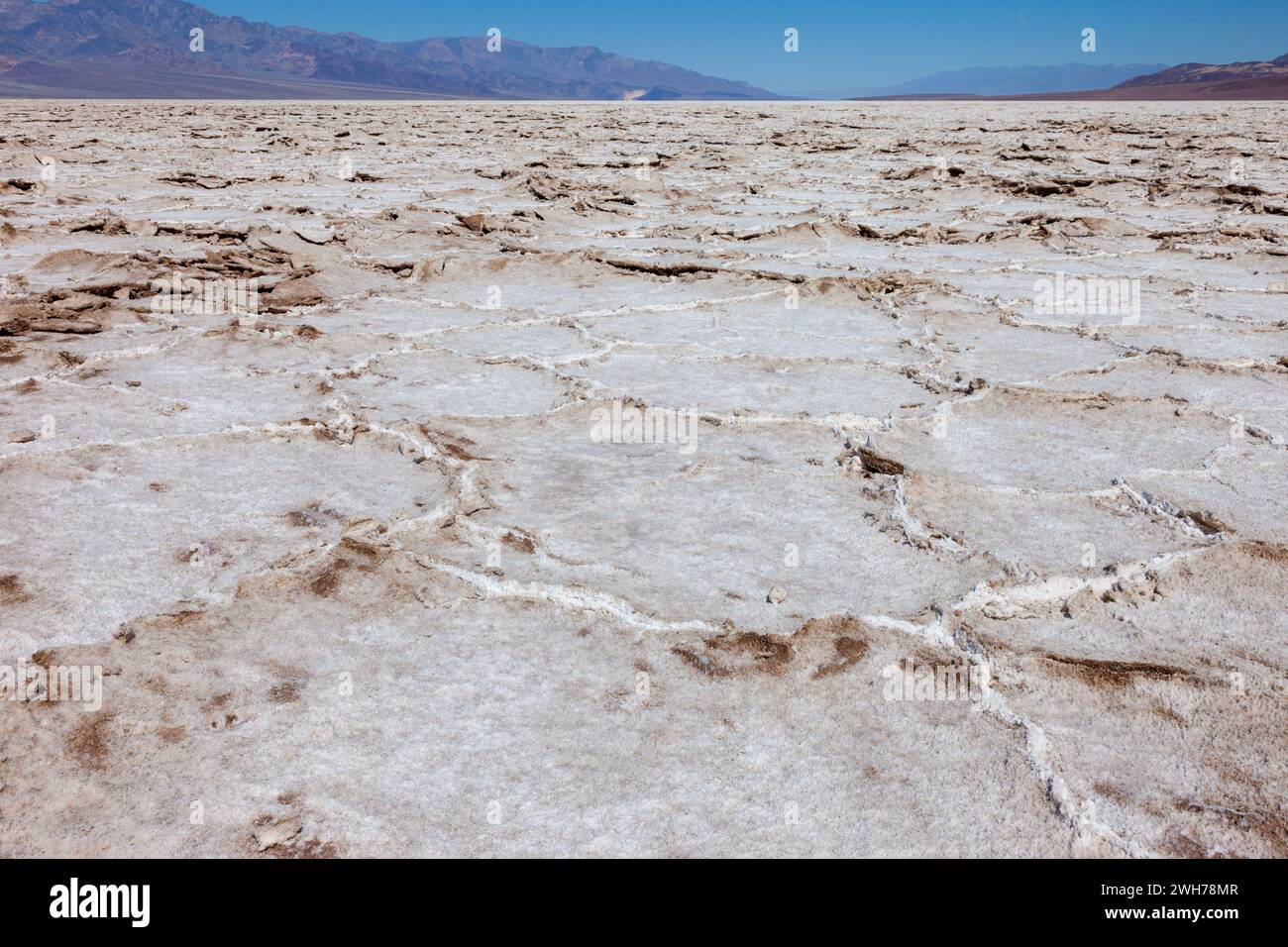 Salt polygons in Badwater Basin in the Mojave Desert in Death Valley ...