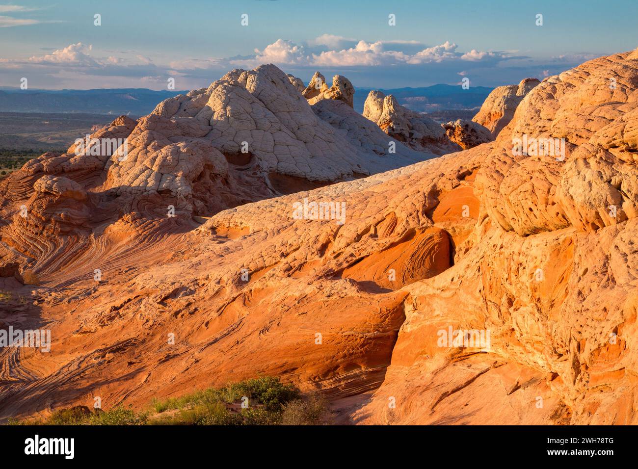 Eroded white pillow rock or brain rock sandstone in the White Pocket ...