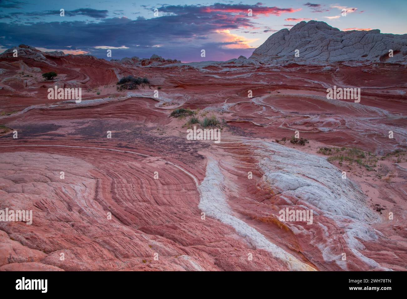 Eroded white pillow rock or brain rock sandstone in the White Pocket ...