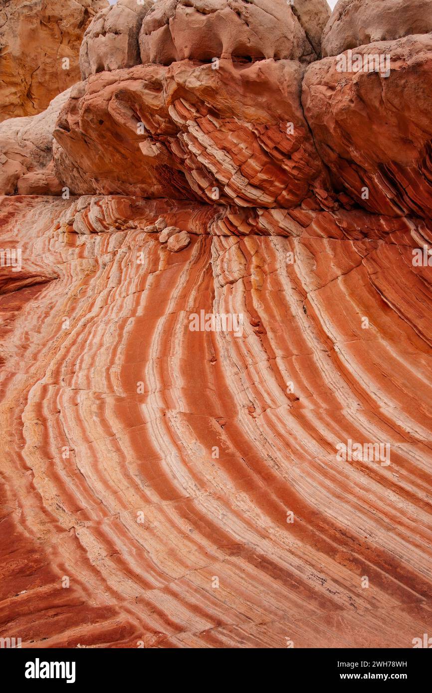 Eroded Navajo sandstone formations in the White Pocket Recreation Area ...