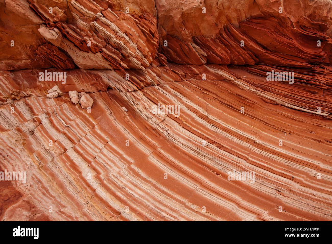 Eroded Navajo sandstone formations in the White Pocket Recreation Area ...