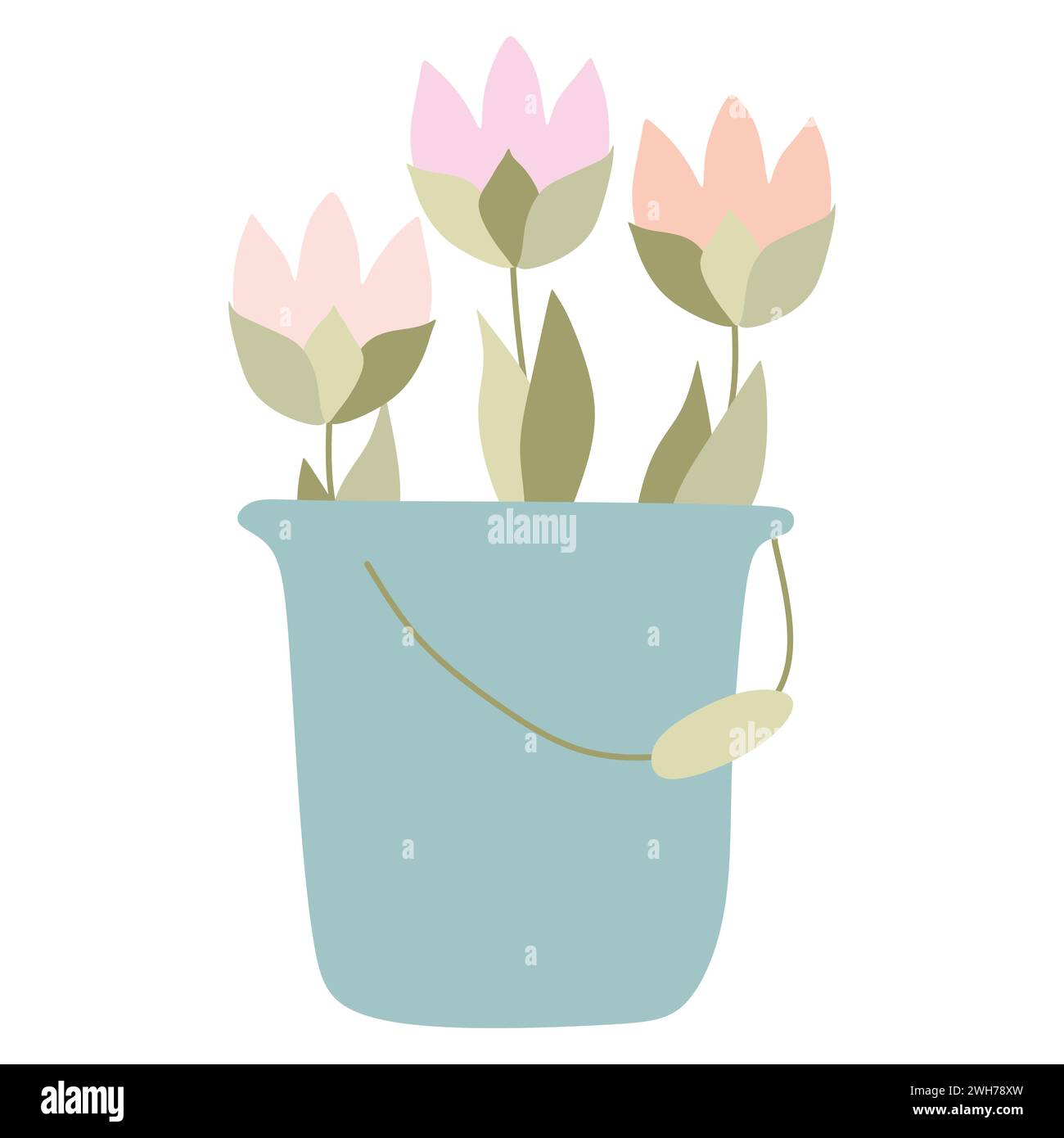 Spring Tulips in Bucket. Floral Bouquet of fresh Blossomed Flowers in ...