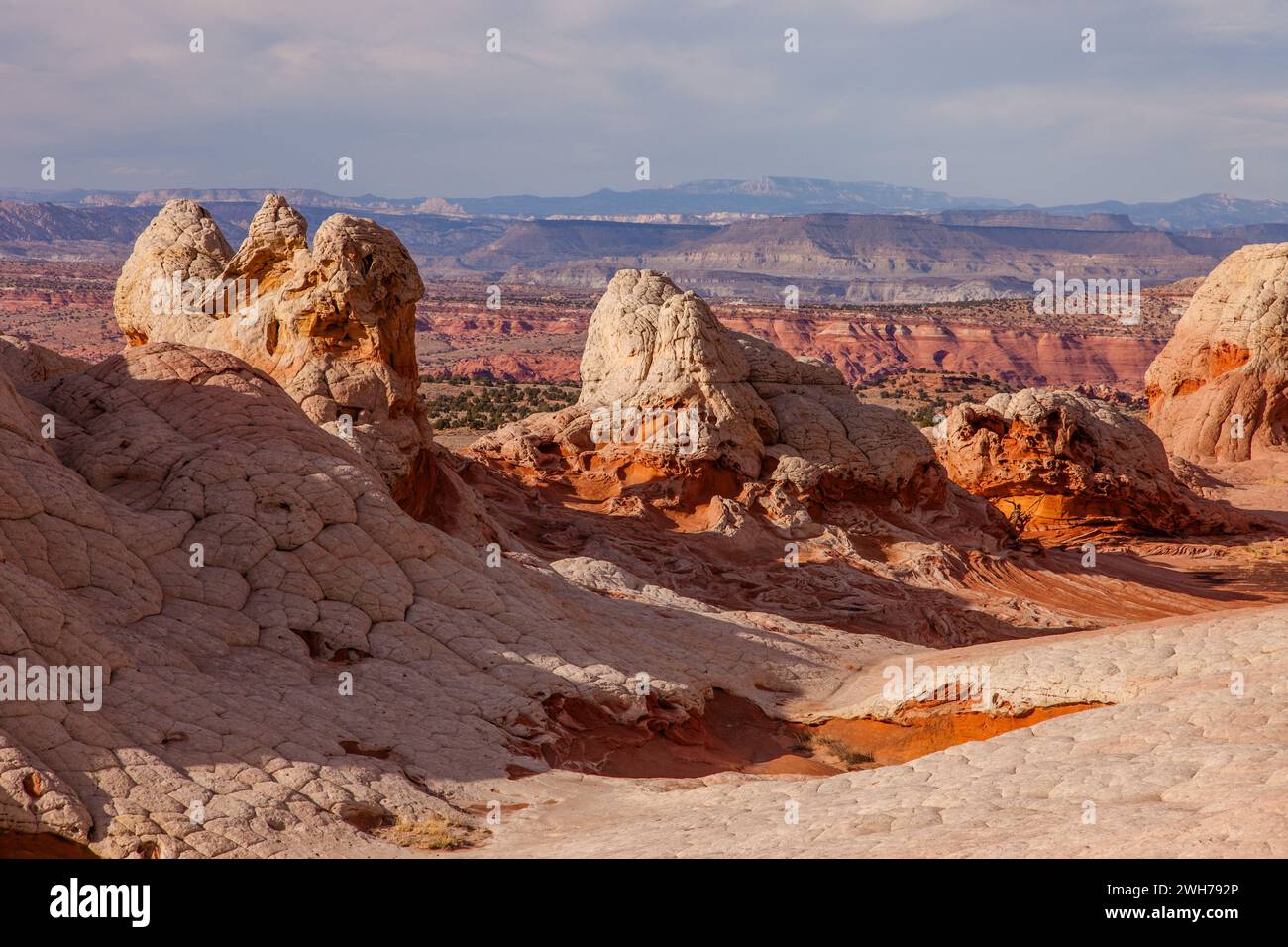 Eroded white pillow rock or brain rock sandstone in the White Pocket ...