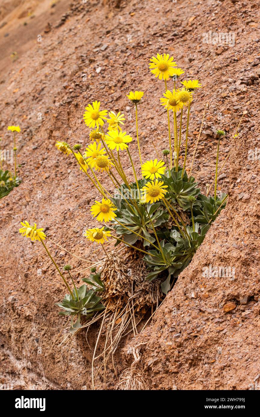 Neer death valley hi-res stock photography and images - Alamy