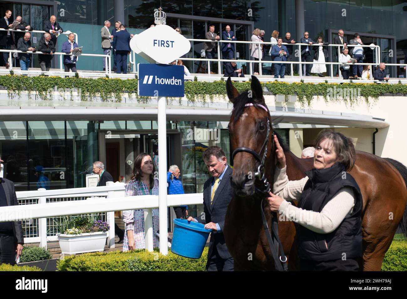 Horse trainer john gosden hi-res stock photography and images - Alamy