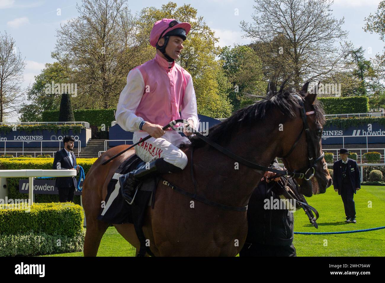 Horse trainer john gosden hi-res stock photography and images - Alamy