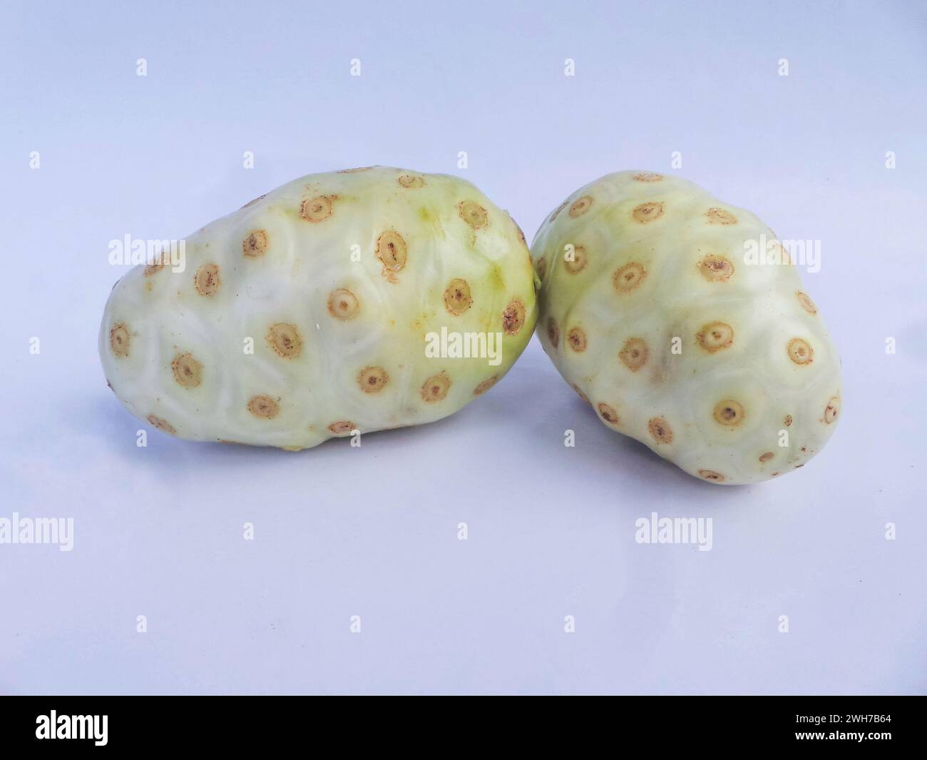 Noni fruit hi-res stock photography and images - Alamy