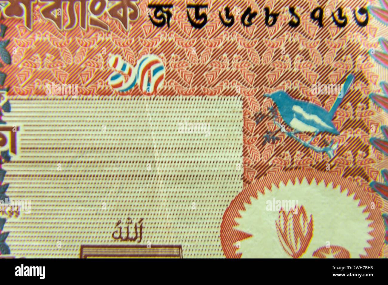 Bangladeshi taka money green hi-res stock photography and images - Alamy