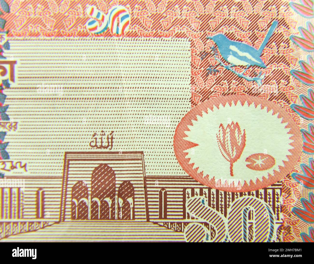 Closeup with selective focus of 10 Bangladeshi Taka banknotes Stock ...