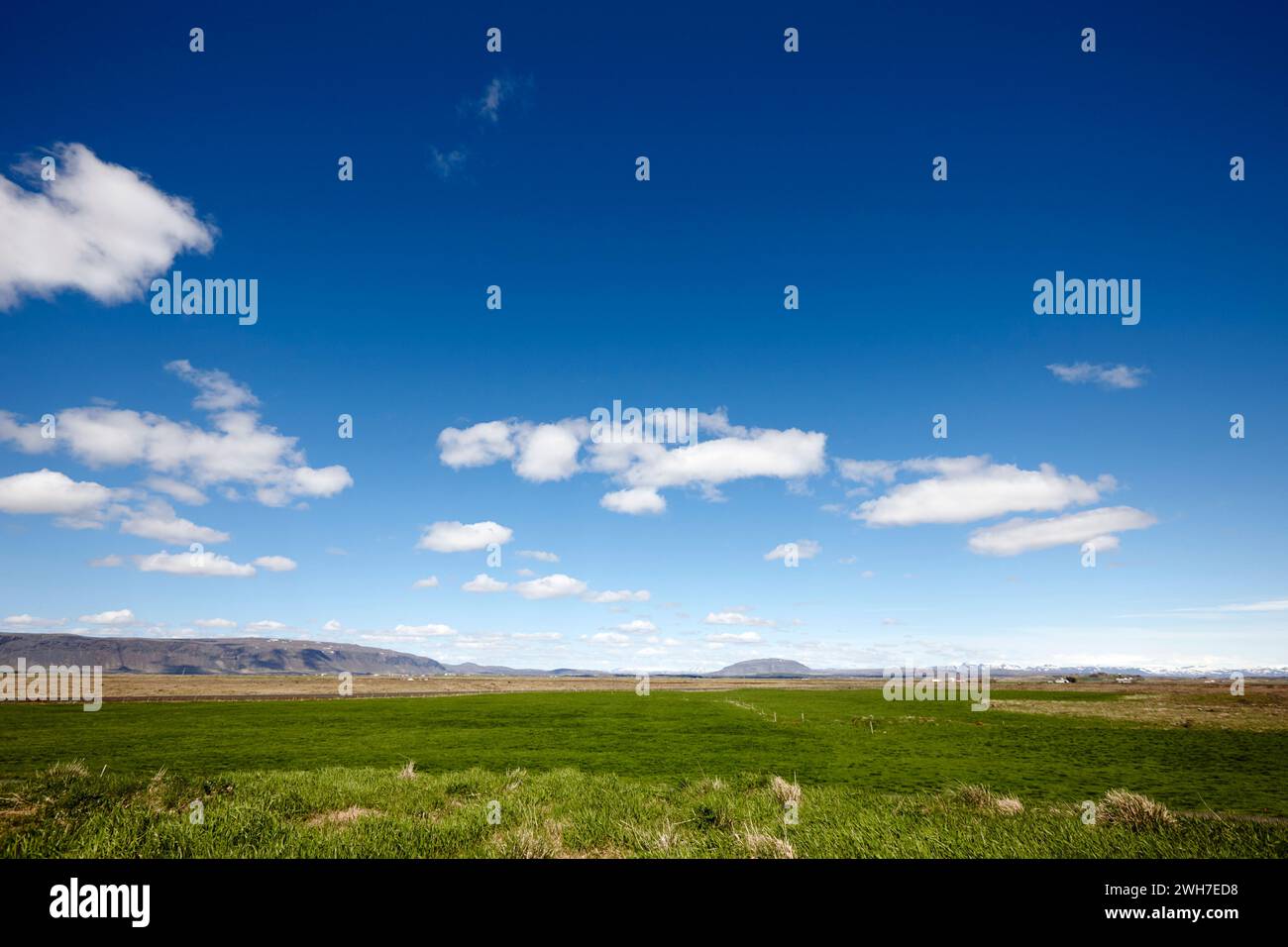 flat fertile valley of agricultural land in the south of iceland near ...