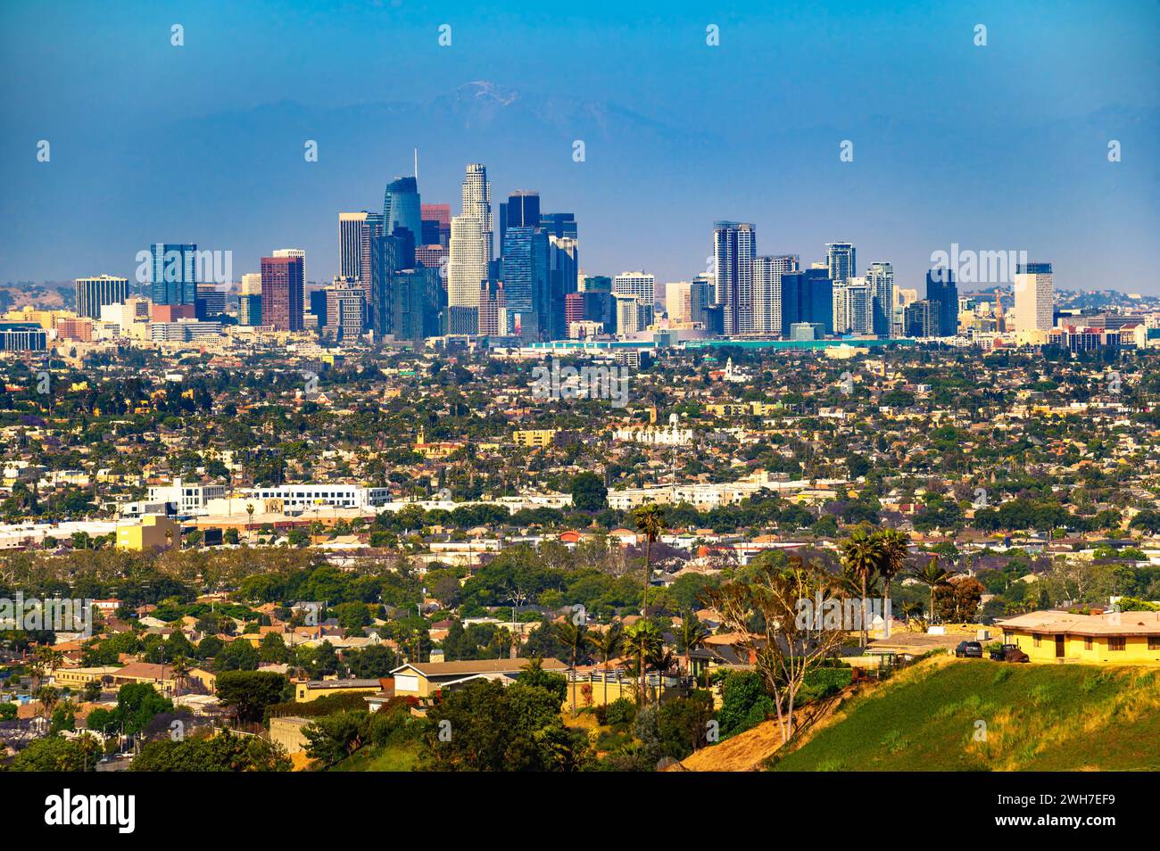 Skyline of Los Angeles in California from Kenneth Hahn State Park Stock ...