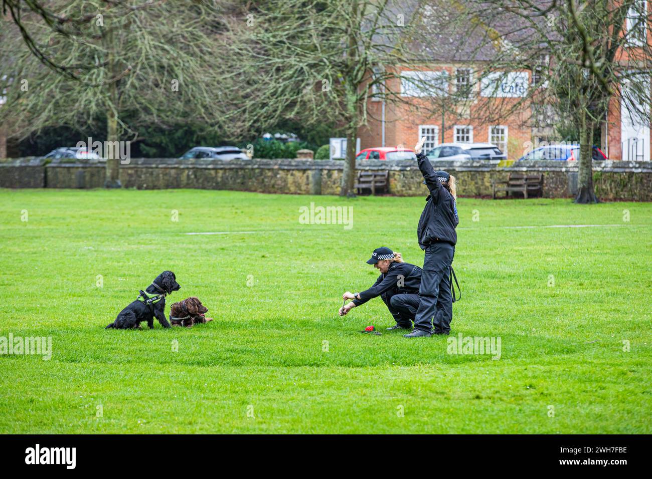 Police security working detection dogs at Salisbury Cathedral Stock ...