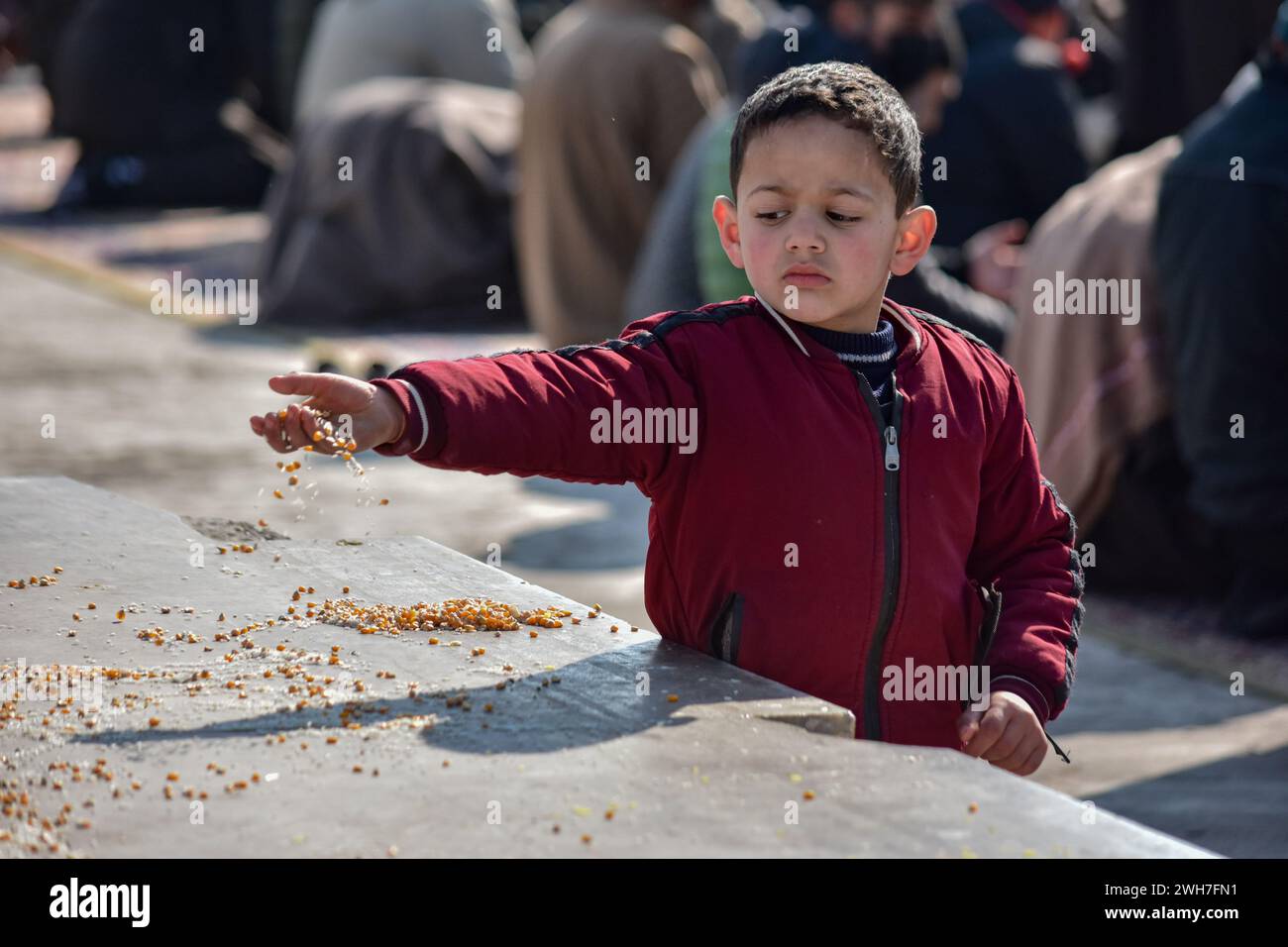 A Muslim boy feeds pigeons (not pictured) on the occasion of Lailat al ...