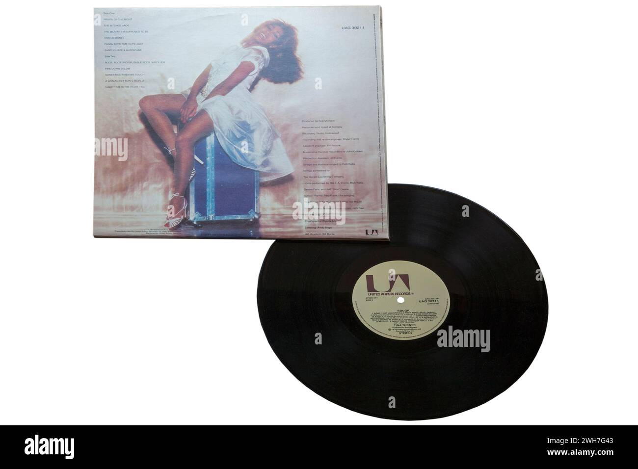 Tina Turner Rough vinyl record album LP cover isolated on white ...