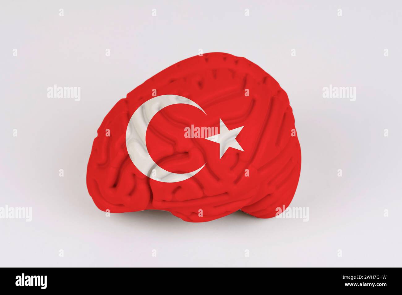 On a white background, a model of the brain with a picture of a flag ...