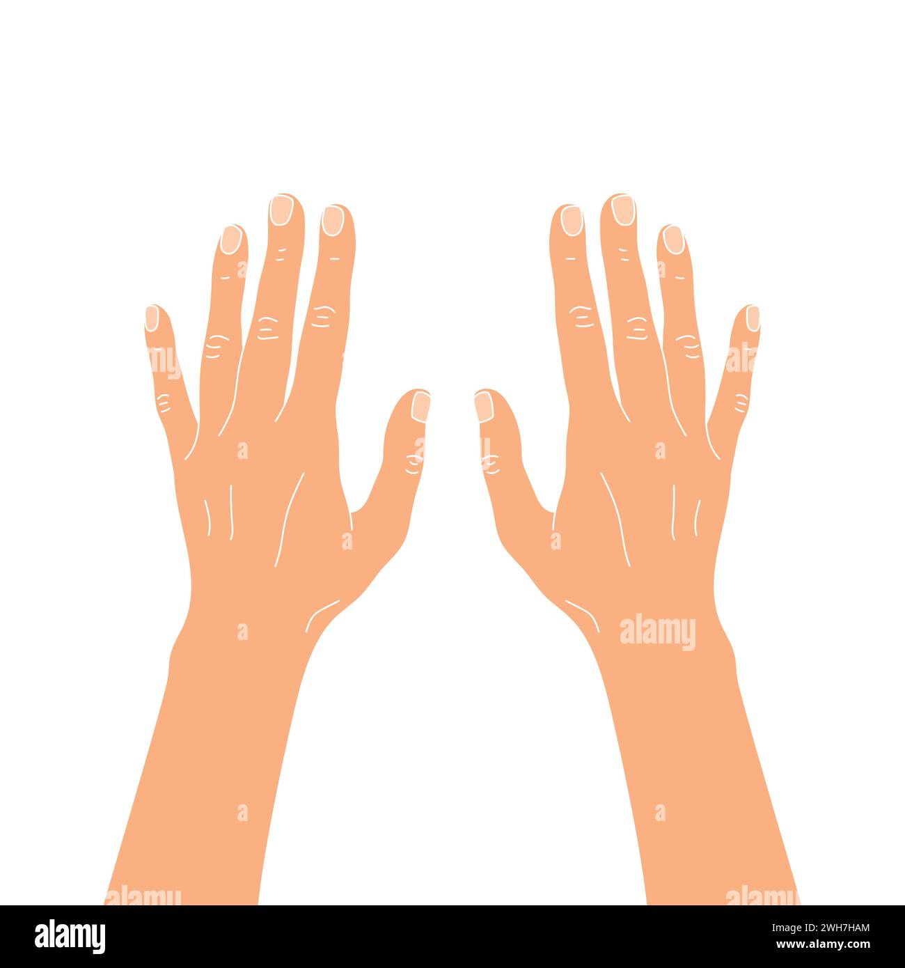 Forward view Stock Vector Images - Alamy