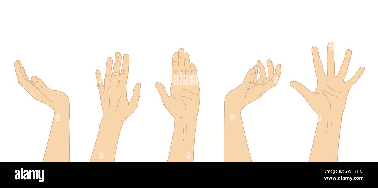 Set of different hand gestures Raised arms with open hand palm. Vector ...