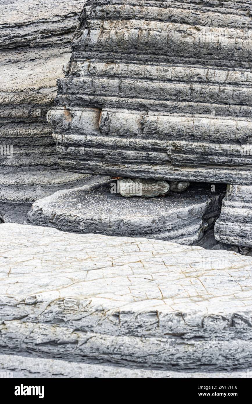 Geometric patterns in nature hi-res stock photography and images - Alamy