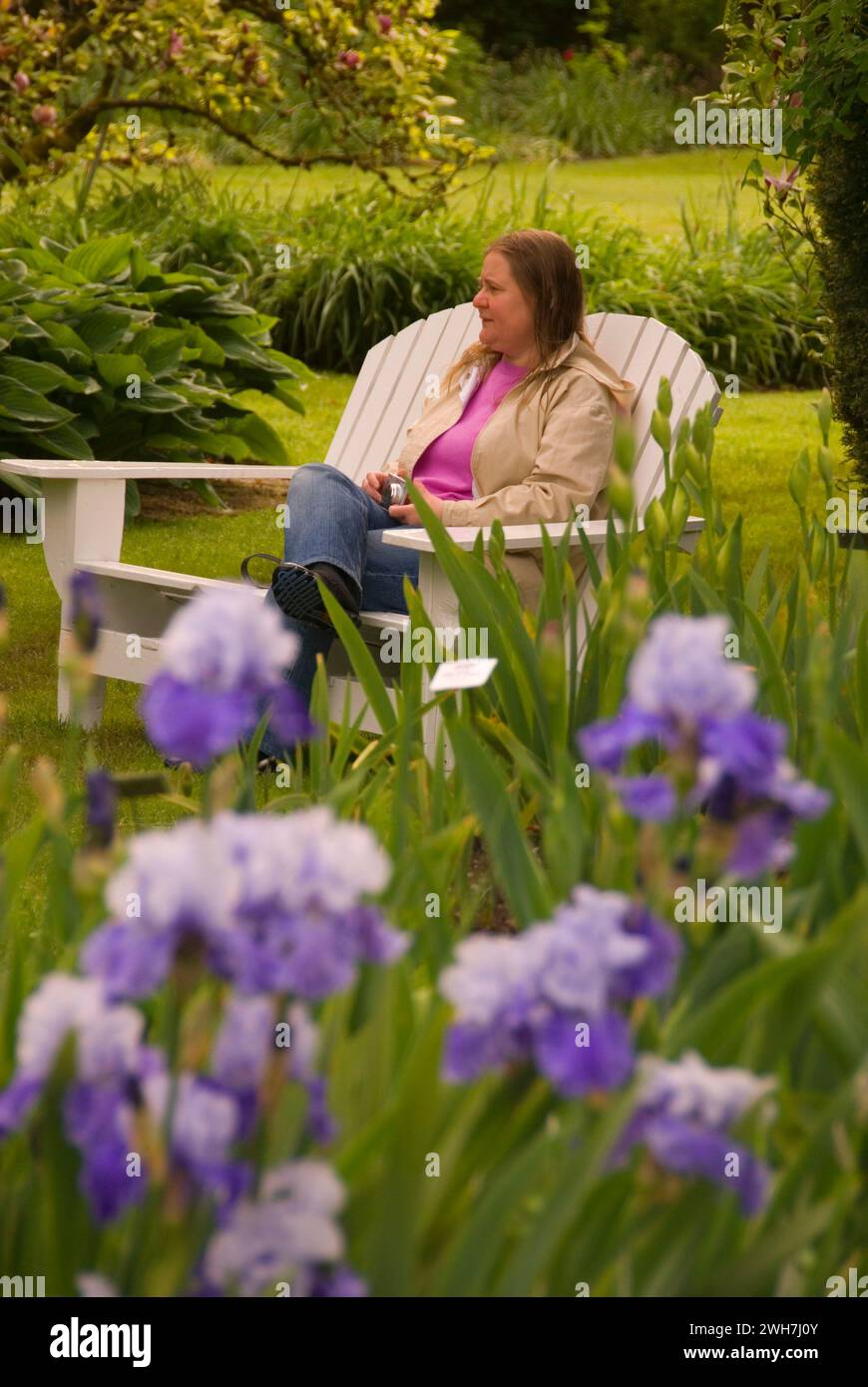 Iris Display Garden bench, Schreiners Iris Gardens, Keizer, Oregon ...
