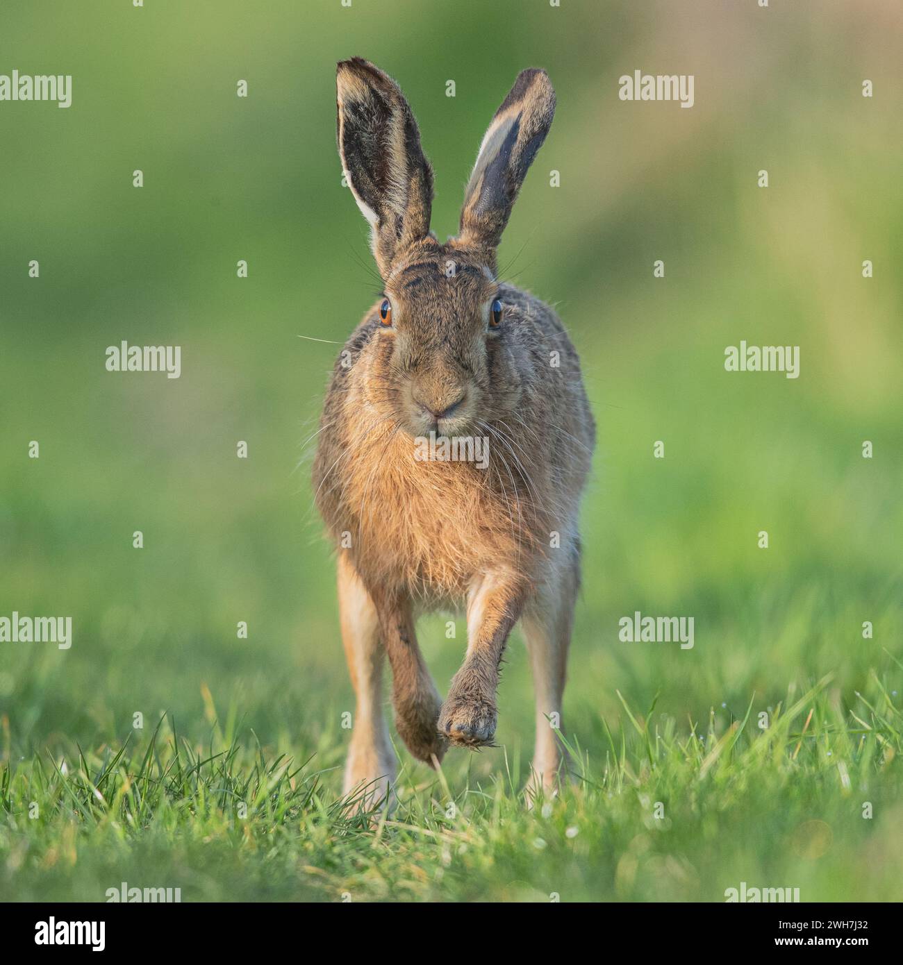 Calendar shot hi-res stock photography and images - Alamy