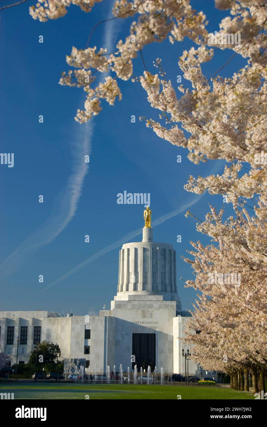 State Capitol with cherry tree bloom, Oregon State Capitol grounds ...