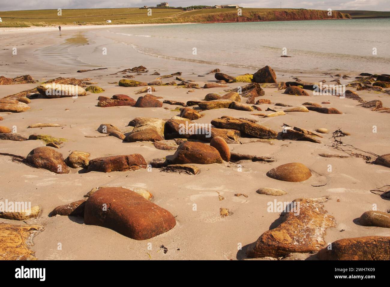 Sand of Wright Bay, showing a walker and the sweep of the bay with ...