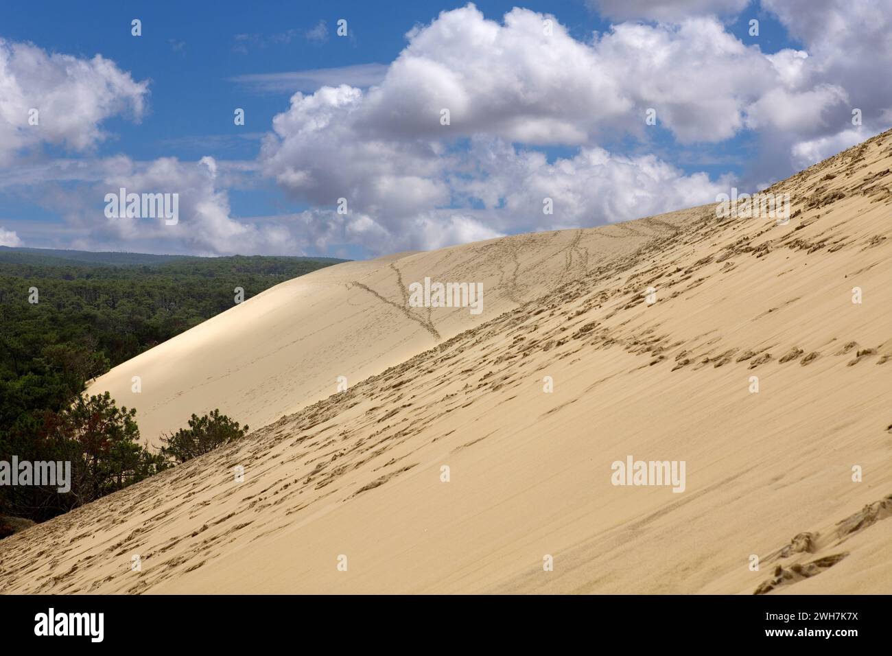 The Famous dune of Pyla, the highest sand dune in Europe, in Pyla Sur ...