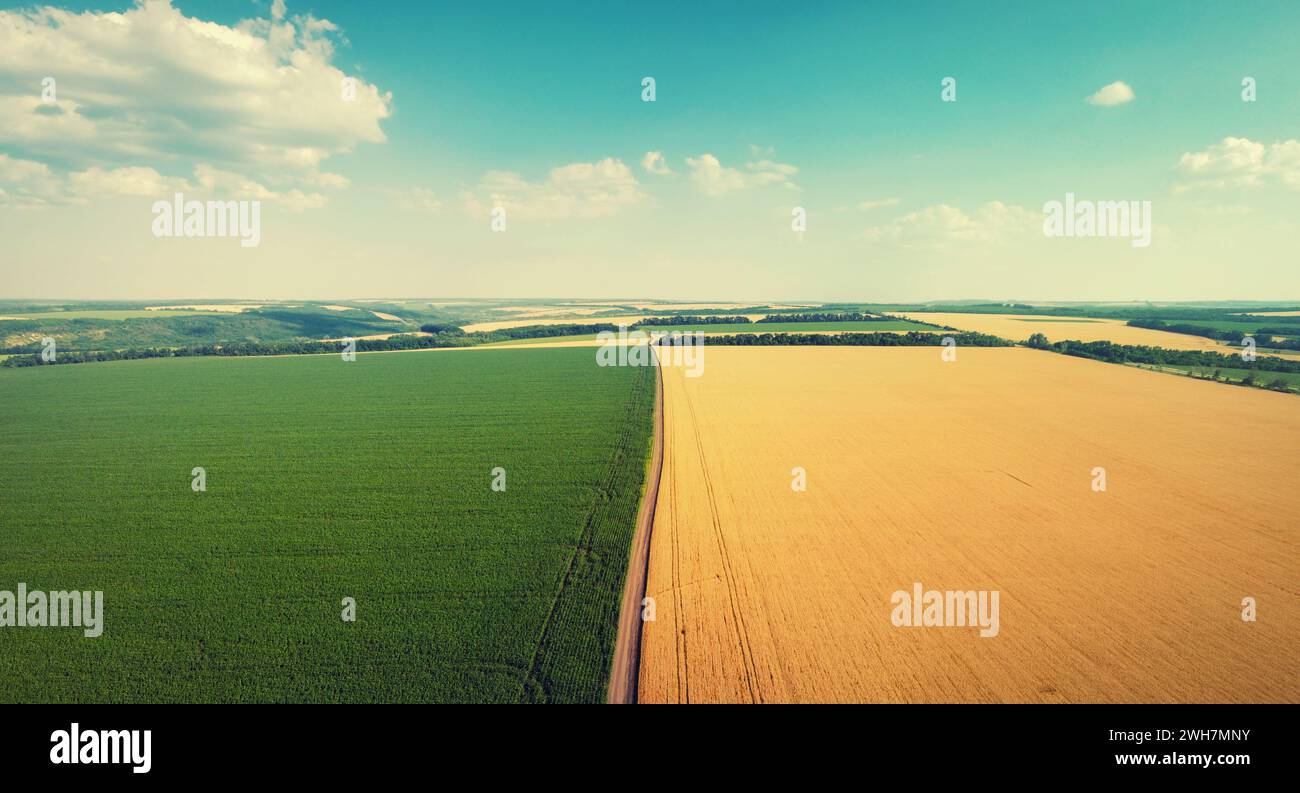 Agriculture Fields Panorama From Aerial View. Wheat And Corn ...