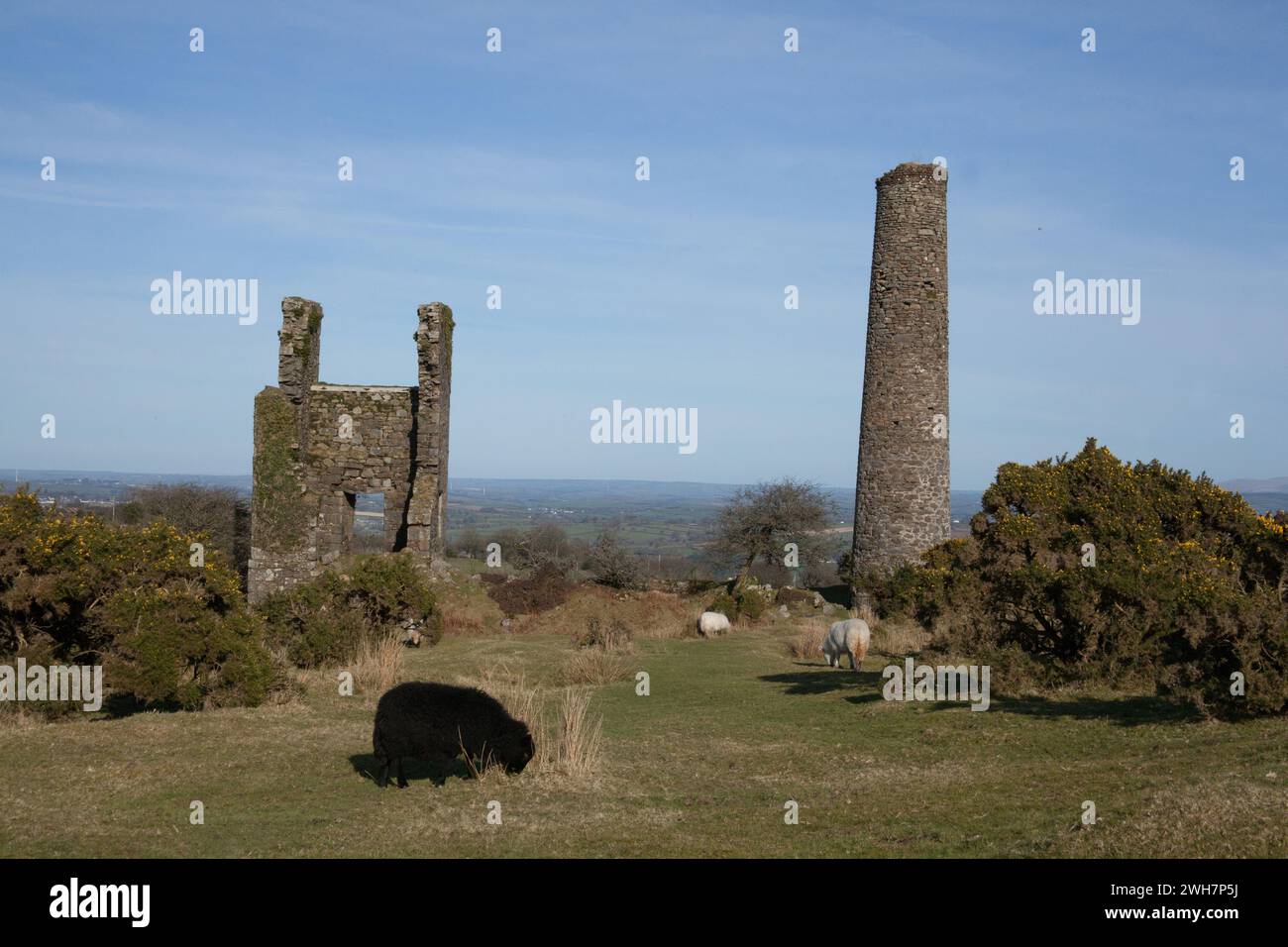 The ruins of copper mine buildings on Caradon Hill on Bodmin Moor in ...