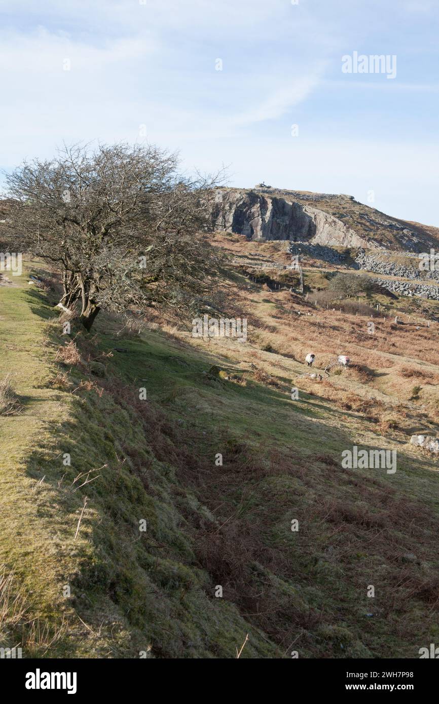 Views from Bodmin Moor in Cornwall in the United Kingdom Stock Photo ...