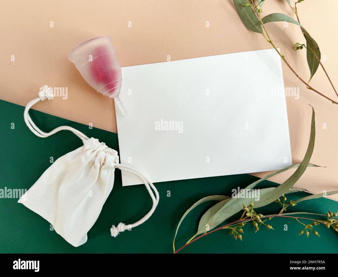 Menstrual cup and contraceptive pills on beige and green background ...