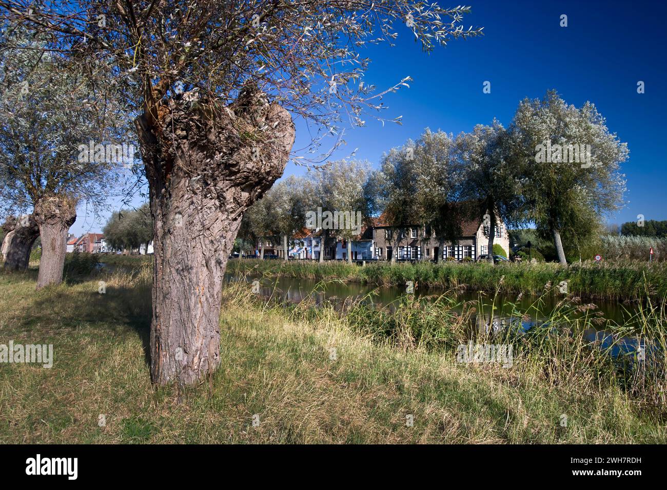 Damme Canal, Damse Vaart, Damme, Flanders, Belgium, Europe Stock Photo ...