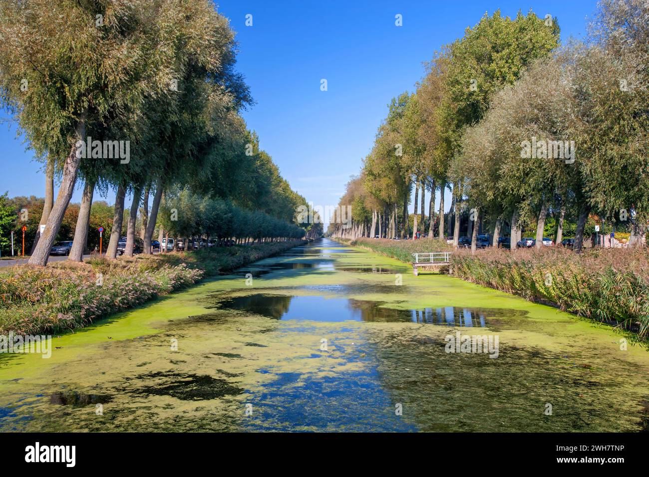 Canal de damme hi-res stock photography and images - Alamy